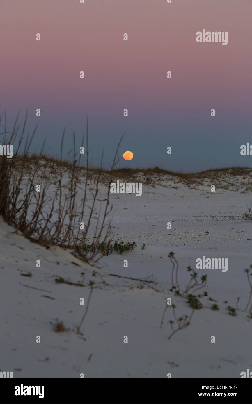 Gulf islands national seashore hi-res stock photography and images - Alamy