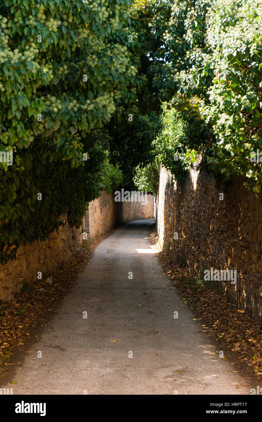 Chios kampos hi-res stock photography and images - Alamy