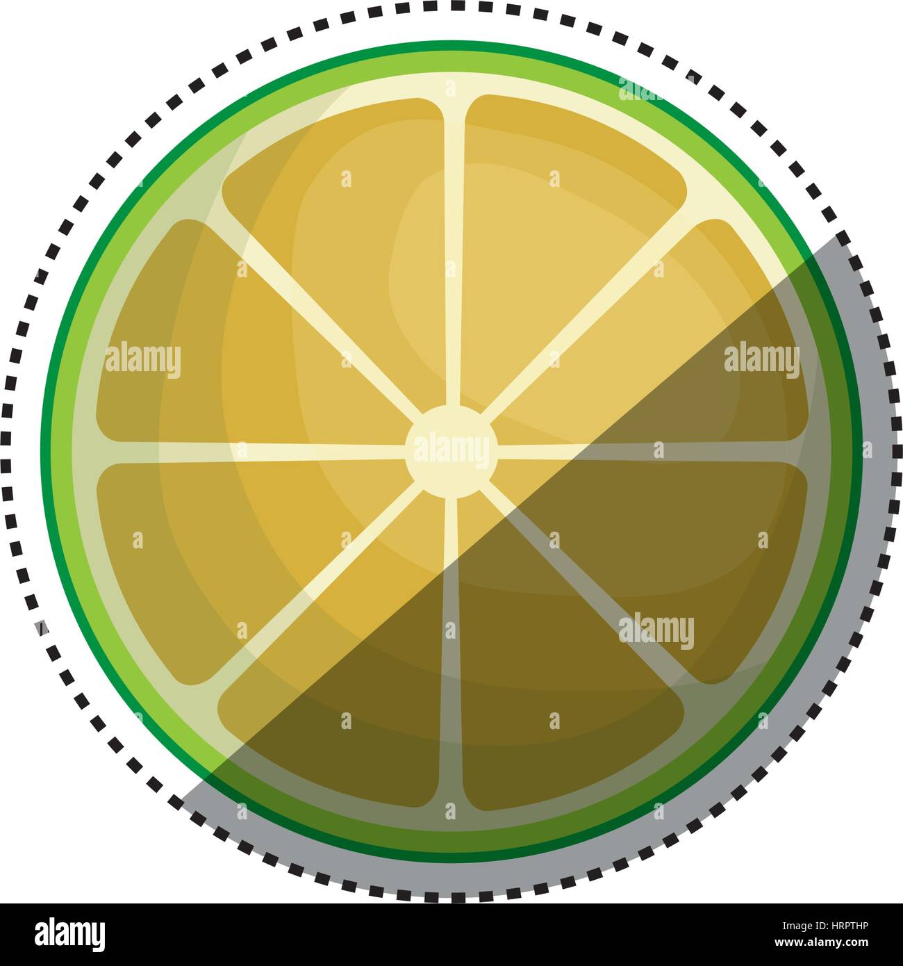 Lemon citric fruit Stock Vector Image & Art - Alamy