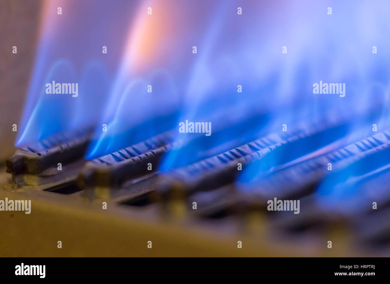 burning the gas on the stove Stock Photo - Alamy