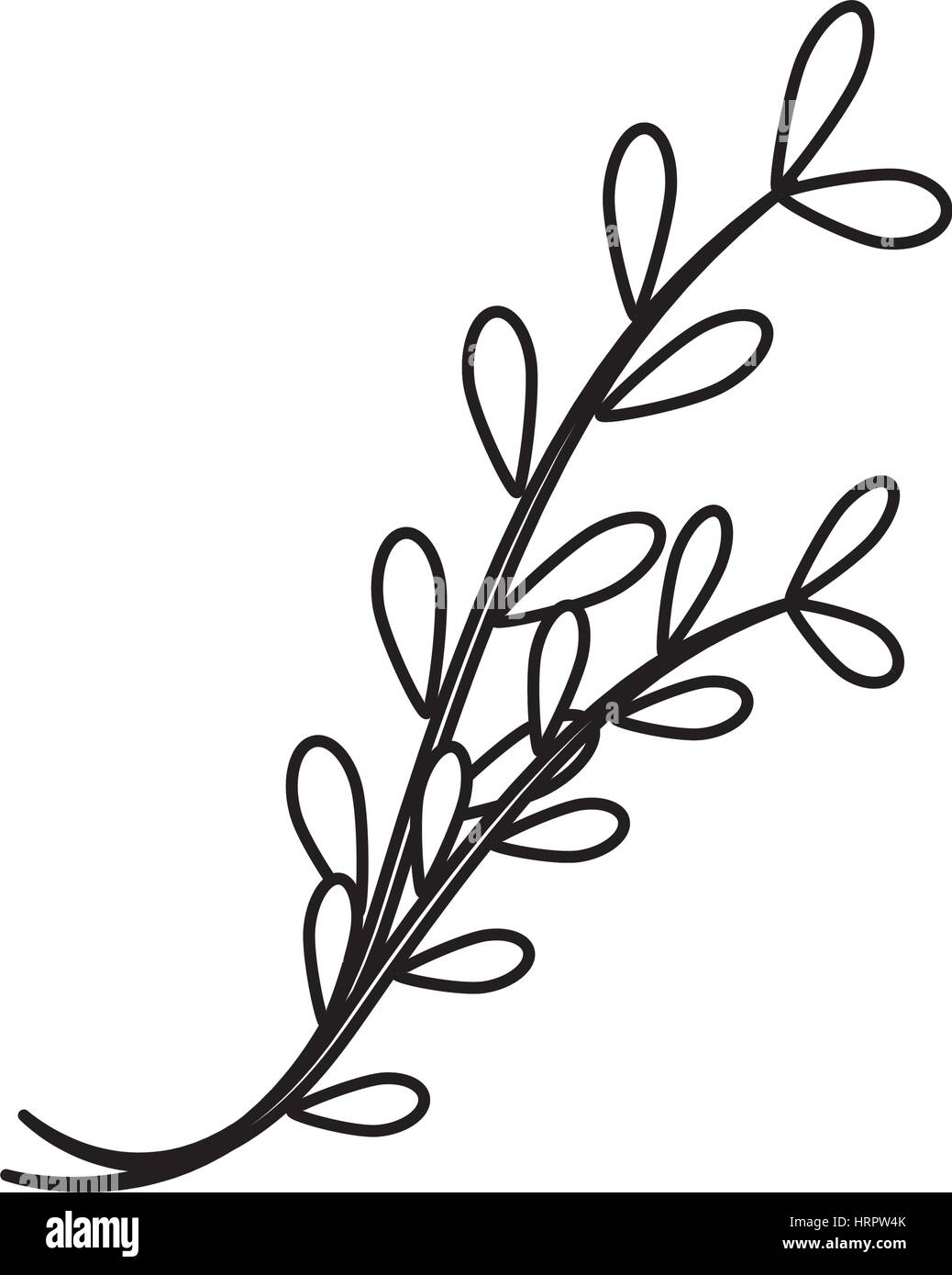 Plant branch isolated Stock Vector Image & Art - Alamy