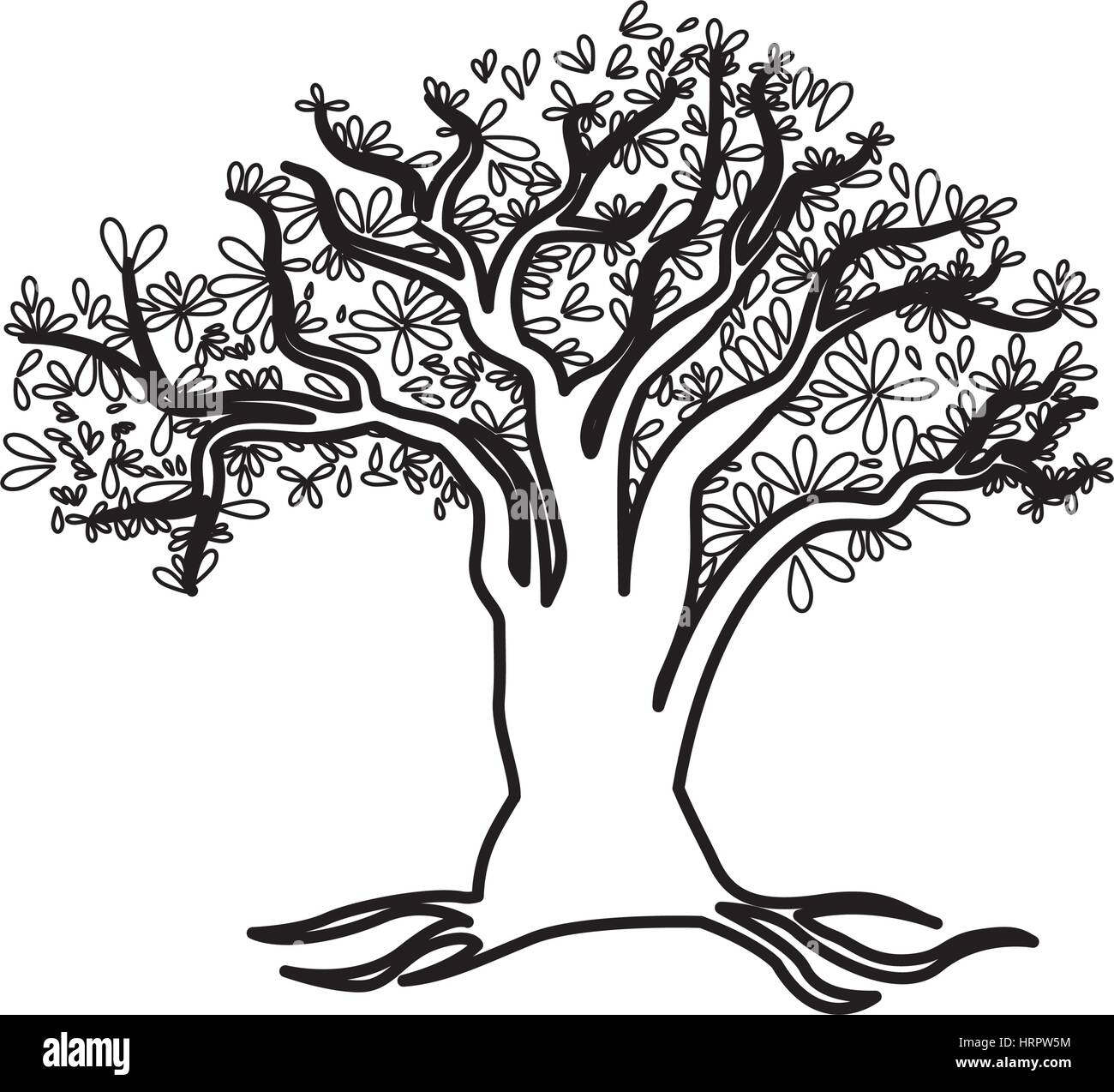 Mediterranean olive tree branches Stock Vector Images - Alamy