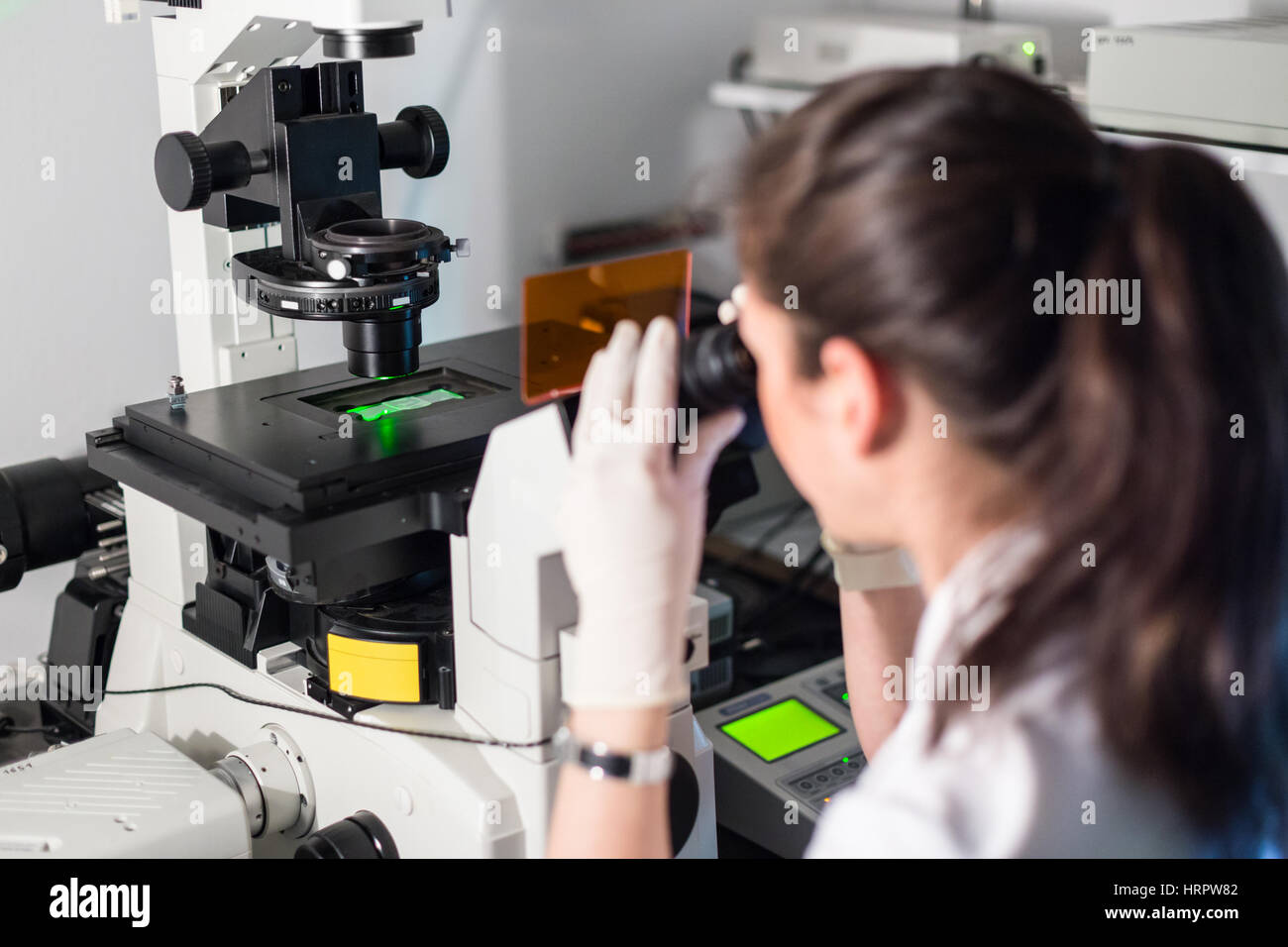 Life science female researcher microscoping in scientific genetic ...