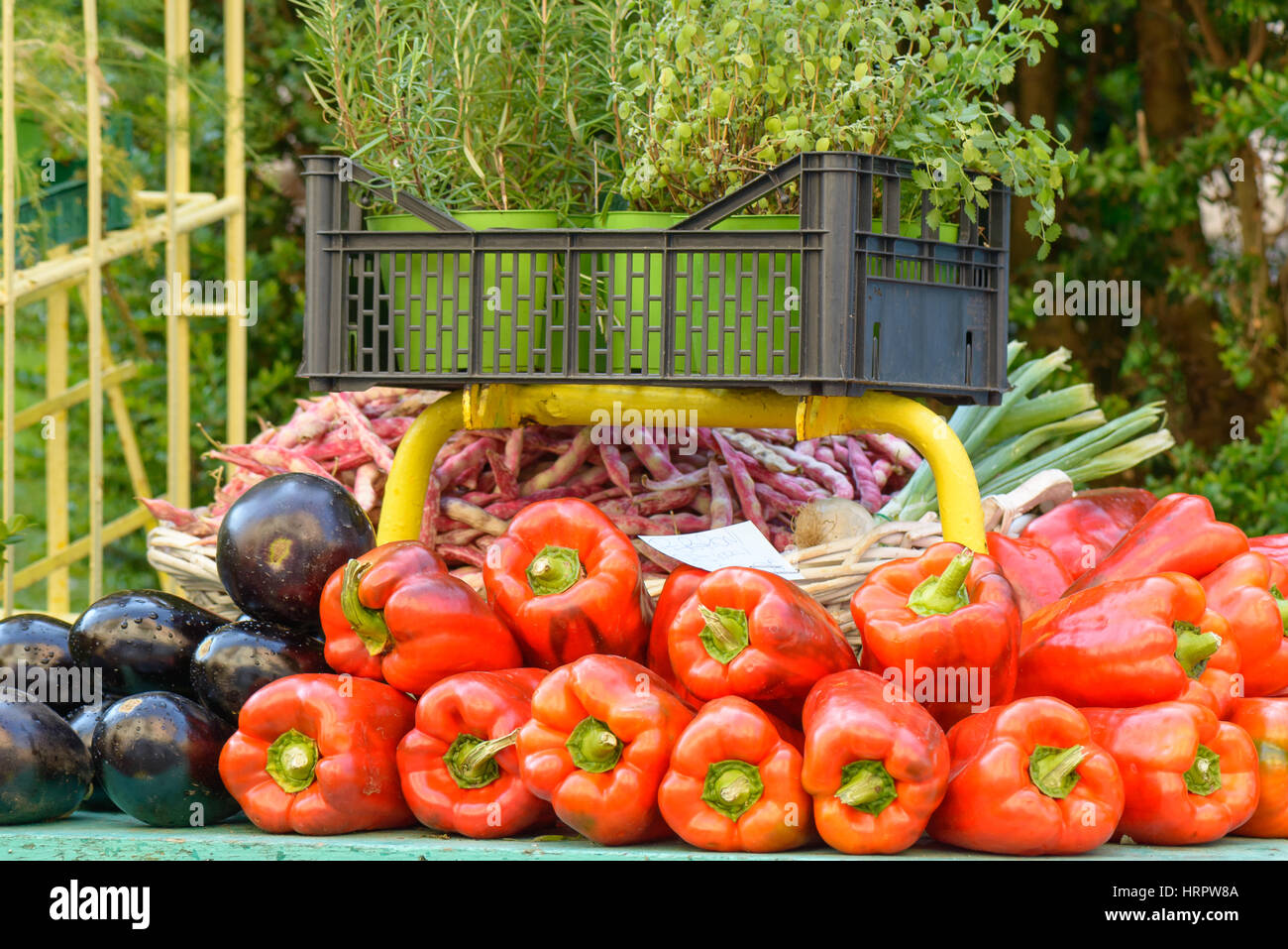 A chariot with colorful vegetable at the market Stock Photo - Alamy
