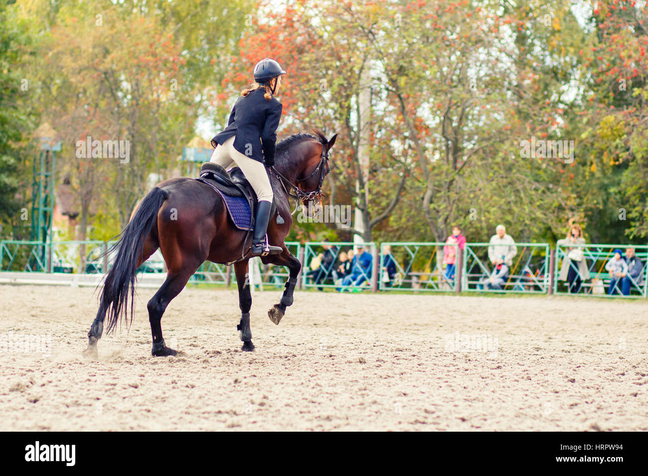 Horse and rider galloping on summer day hi-res stock photography and ...