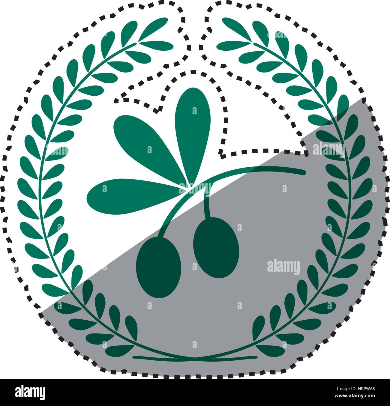 The colorful and blue olive Stock Vector Images - Alamy