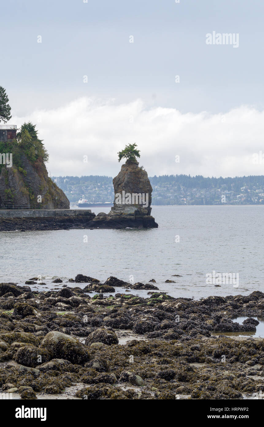 Siwash trail hi-res stock photography and images - Alamy