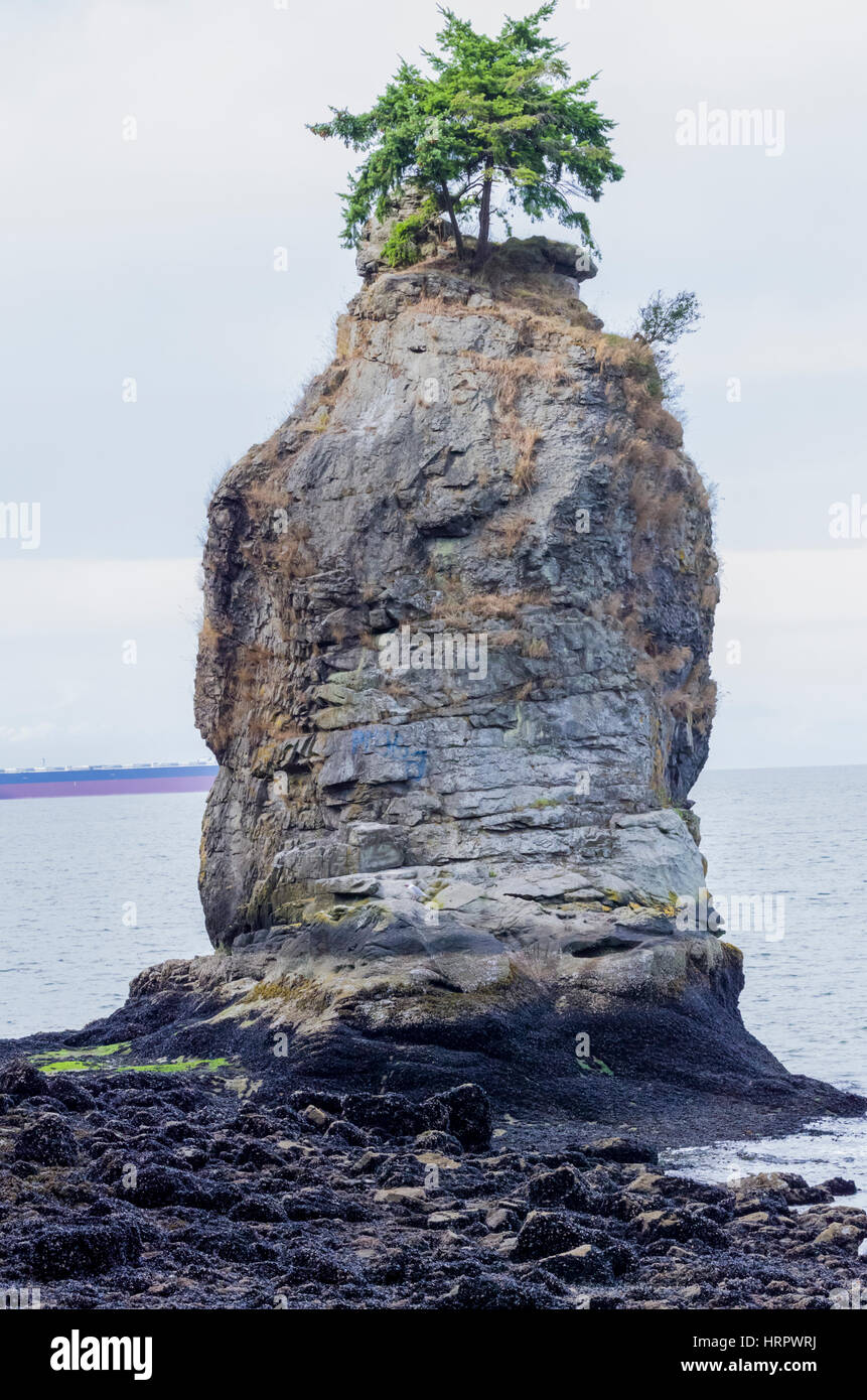 Siwash trail hi-res stock photography and images - Alamy