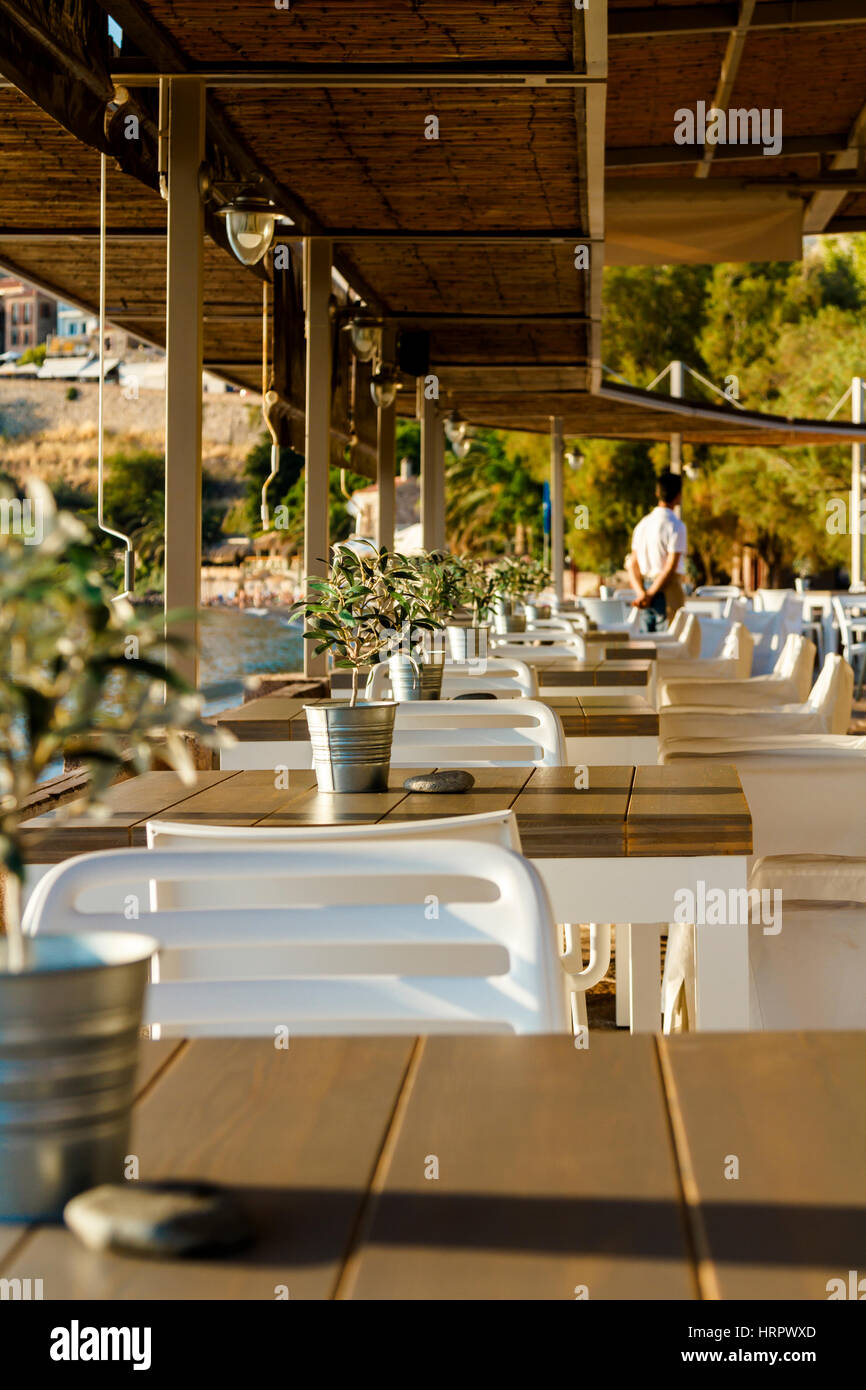 Olive tree on table in restaurant and young waiter in background Stock ...