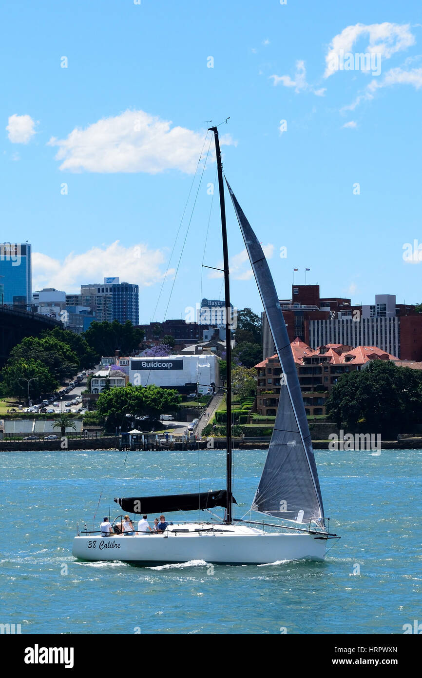 Sunny day sailing the Sydney Harbor Stock Photo - Alamy