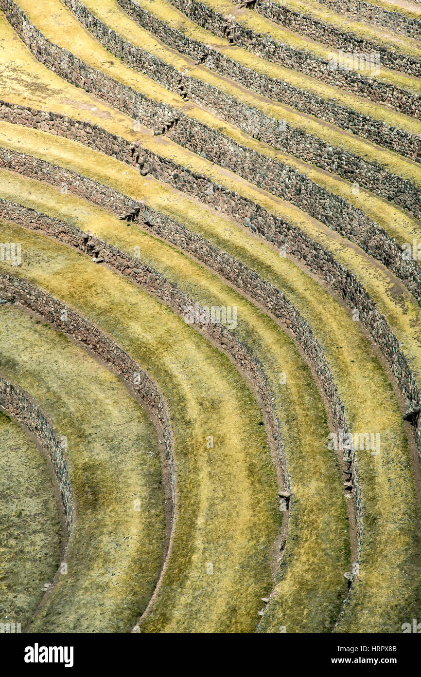 Portion of concentric agricultural terraces, Moray Inca ruins, Cusco ...