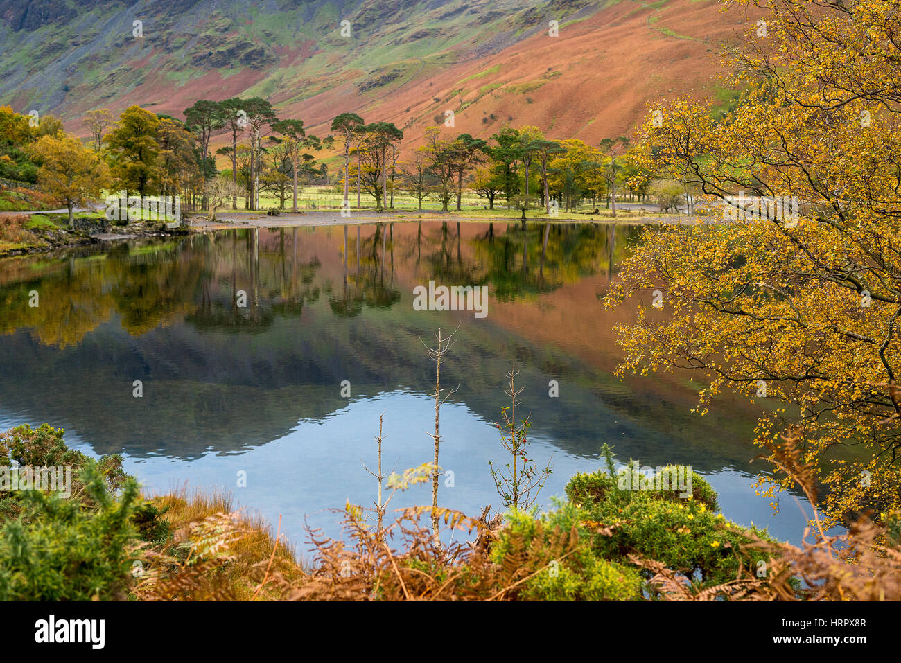 Autmumn In Buttermere Stock Photo - Alamy