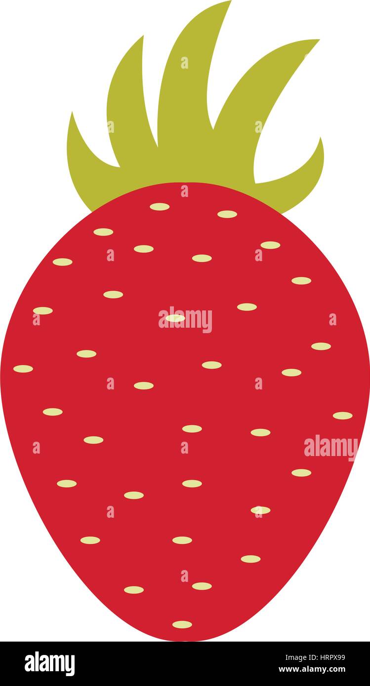 Cultivated strawberry in garden Stock Vector Images - Alamy