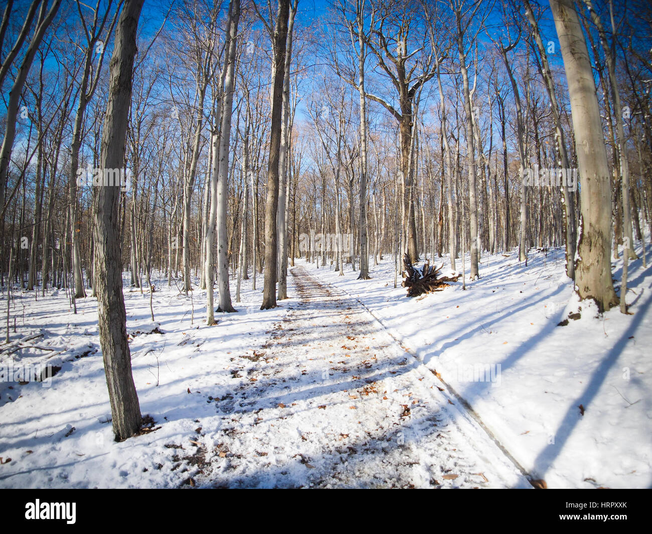 Winter landscape Stock Photo - Alamy