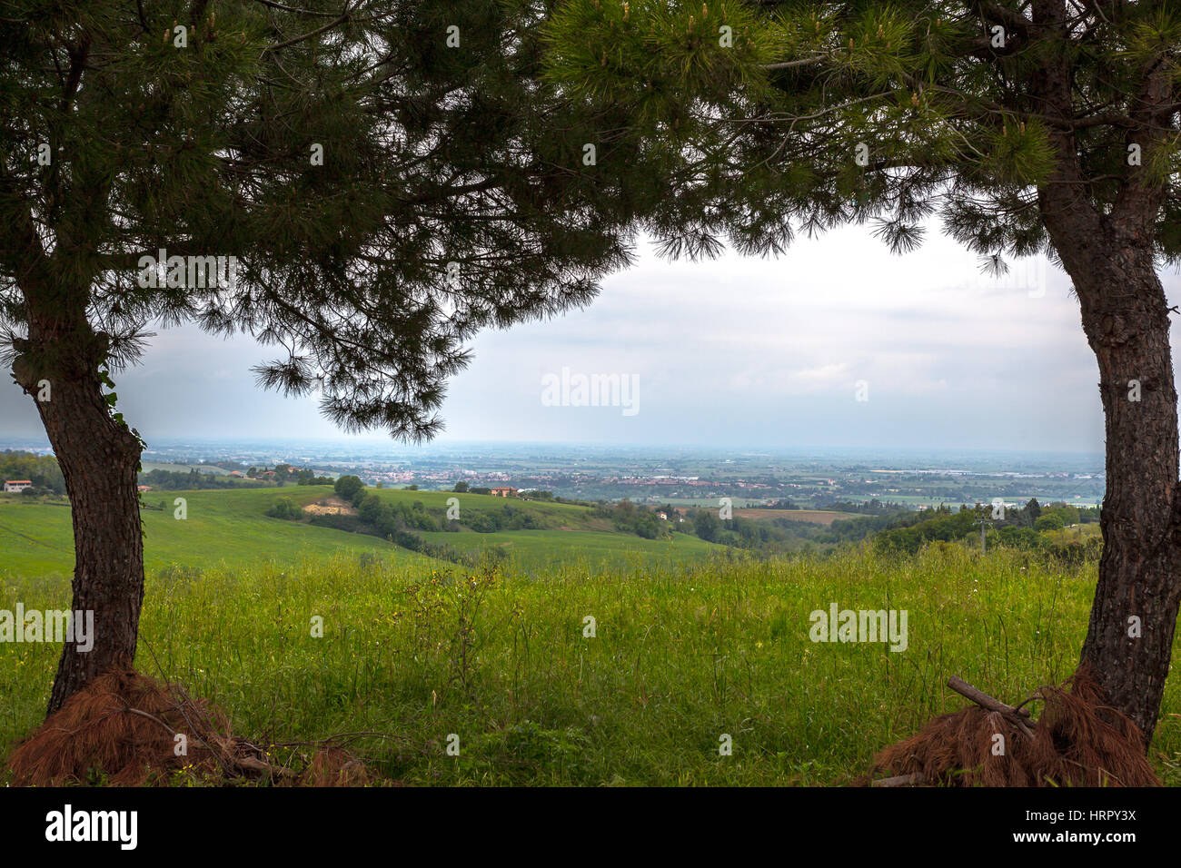 Landscape view between two tree near Dozza, Italy Stock Photo - Alamy