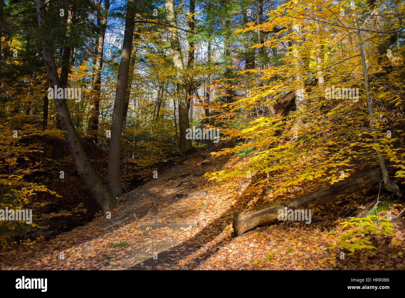 A lovely fall day hiking Stock Photo - Alamy