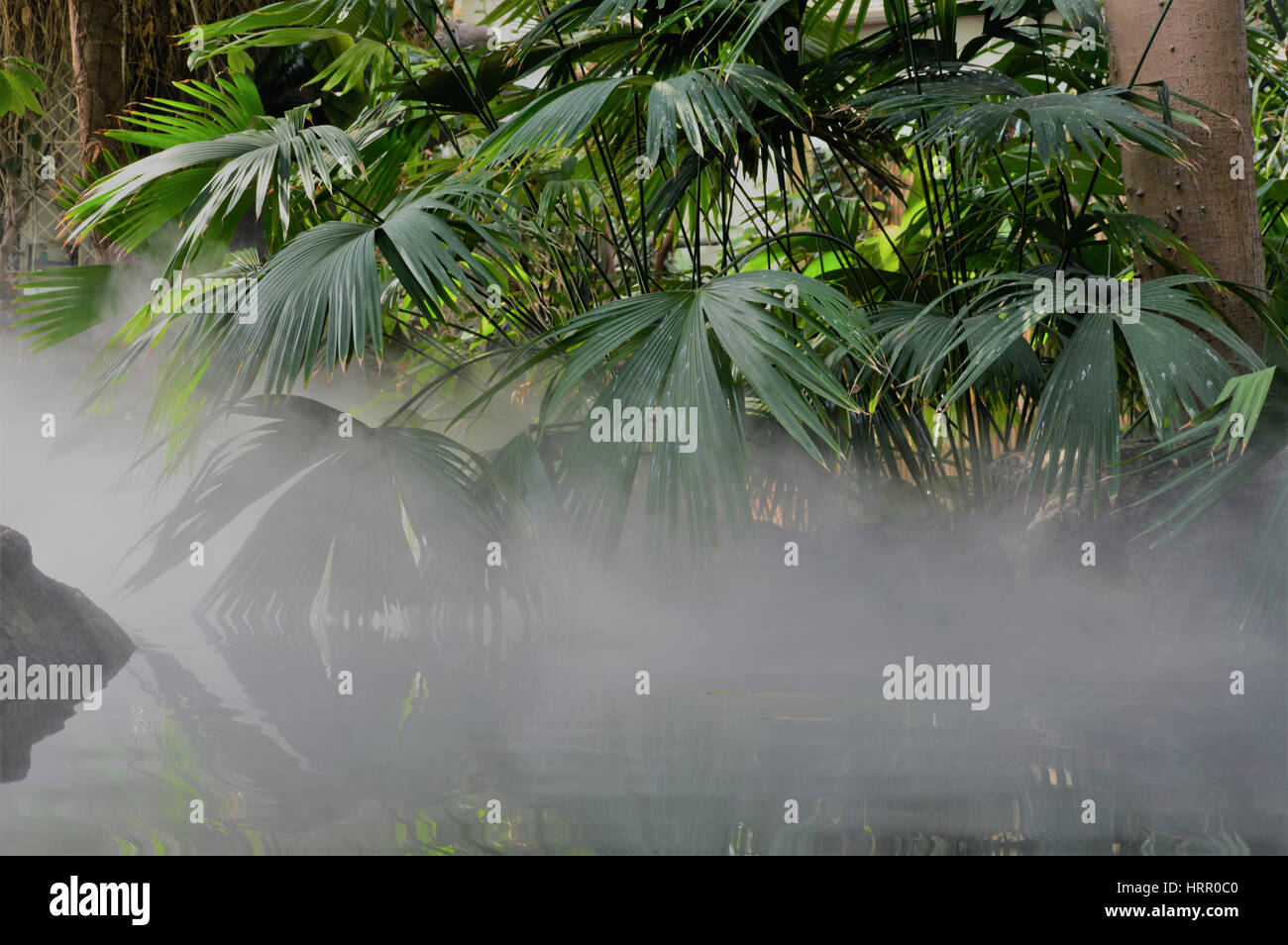 Mist over the water hi-res stock photography and images - Alamy