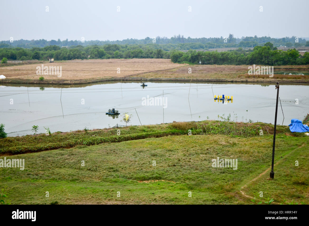 Rural fish farming Stock Photo - Alamy
