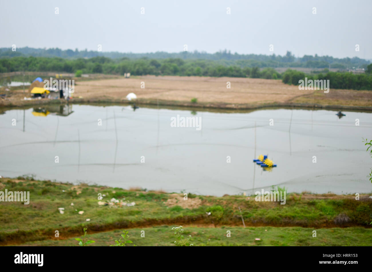 Rural fish farming Stock Photo - Alamy