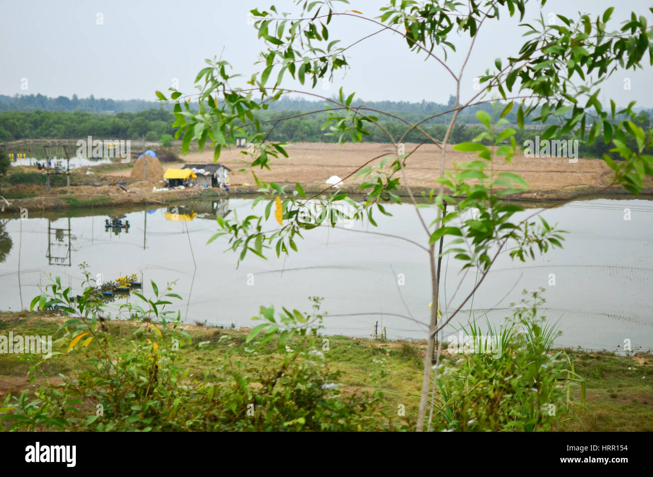 Rural fish farming Stock Photo - Alamy