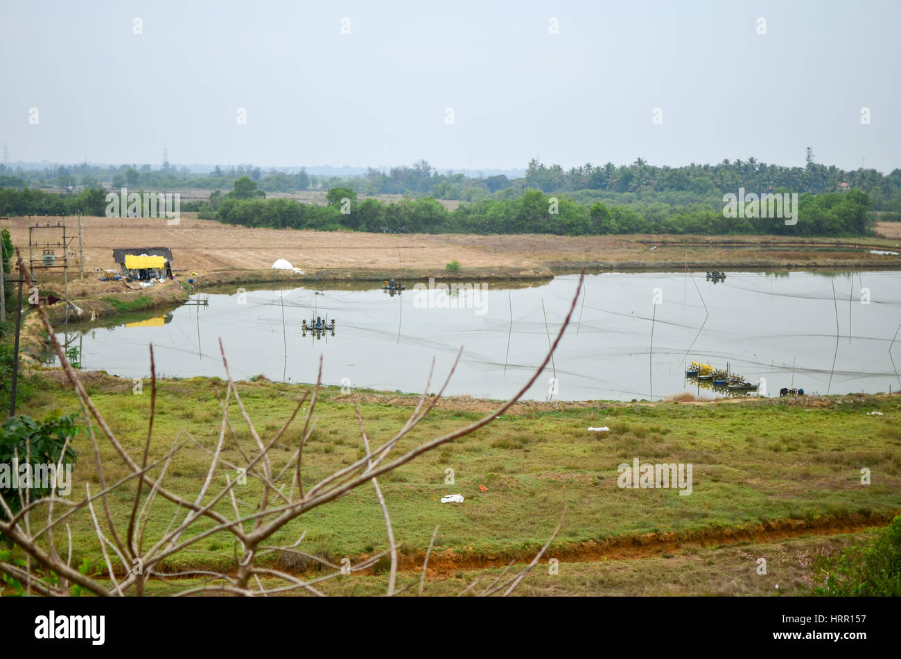 Rural fish farming Stock Photo - Alamy