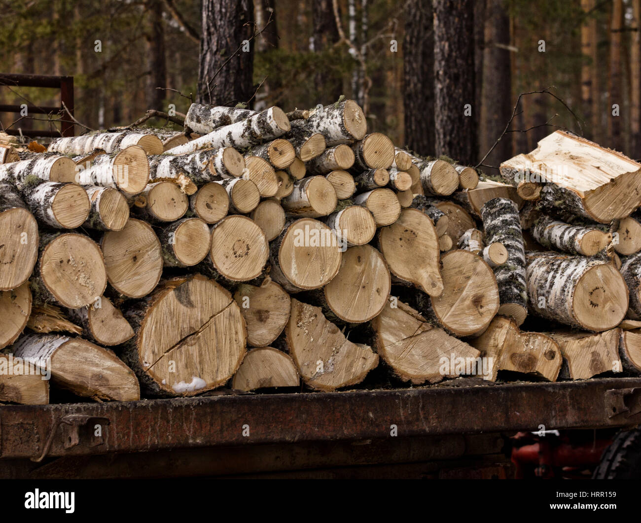 stack of natural wooden logs. wood cut background Stock Photo - Alamy