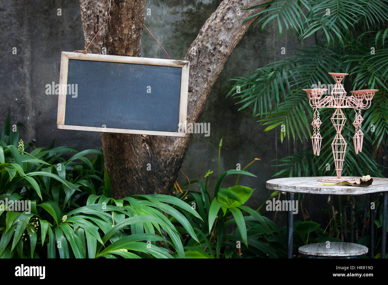 Blank menu Board on the tree in the garden restaurant or cafe in a ...