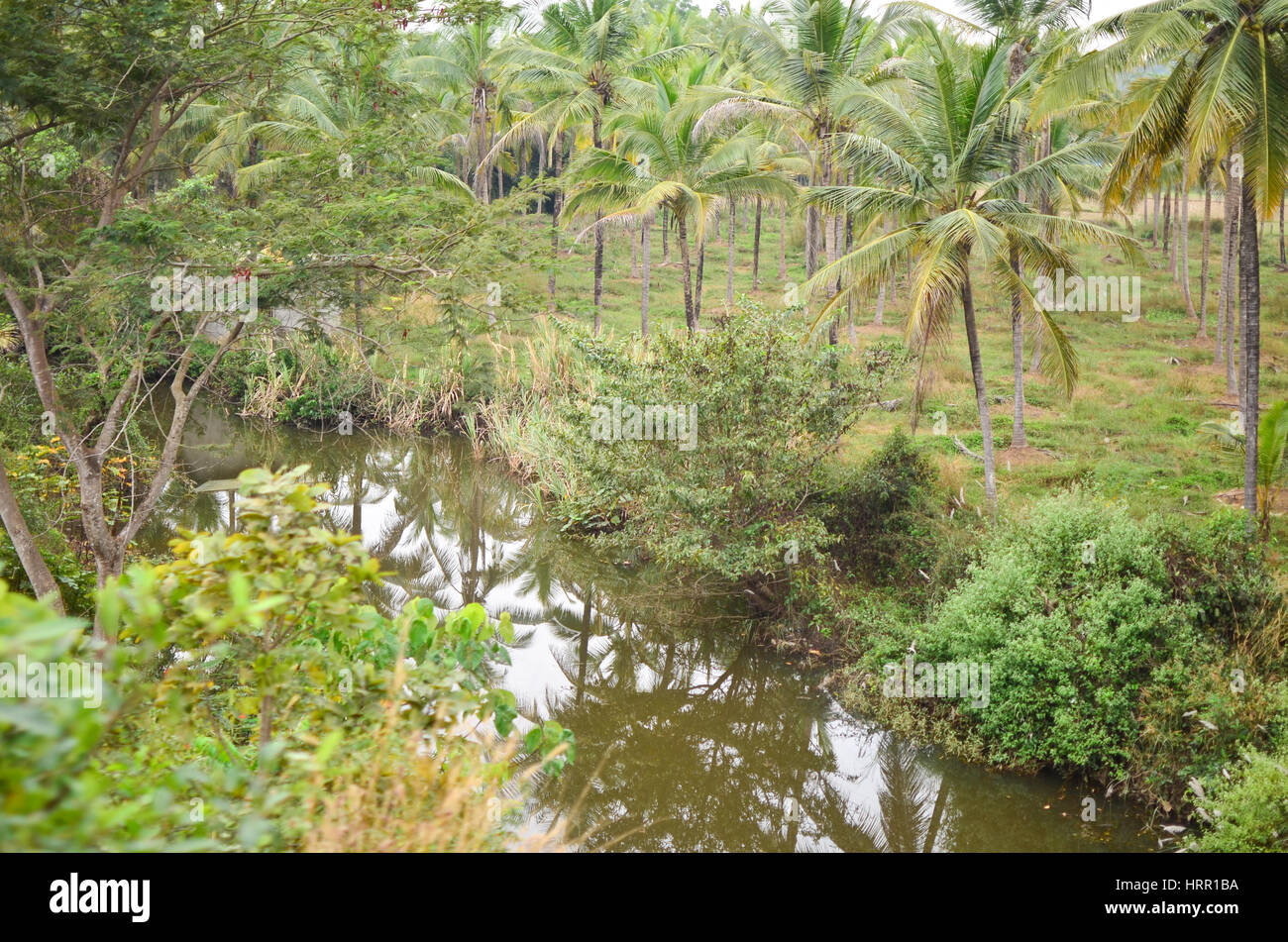 Beautiful landscape of rural India. Scene captured during a train ...