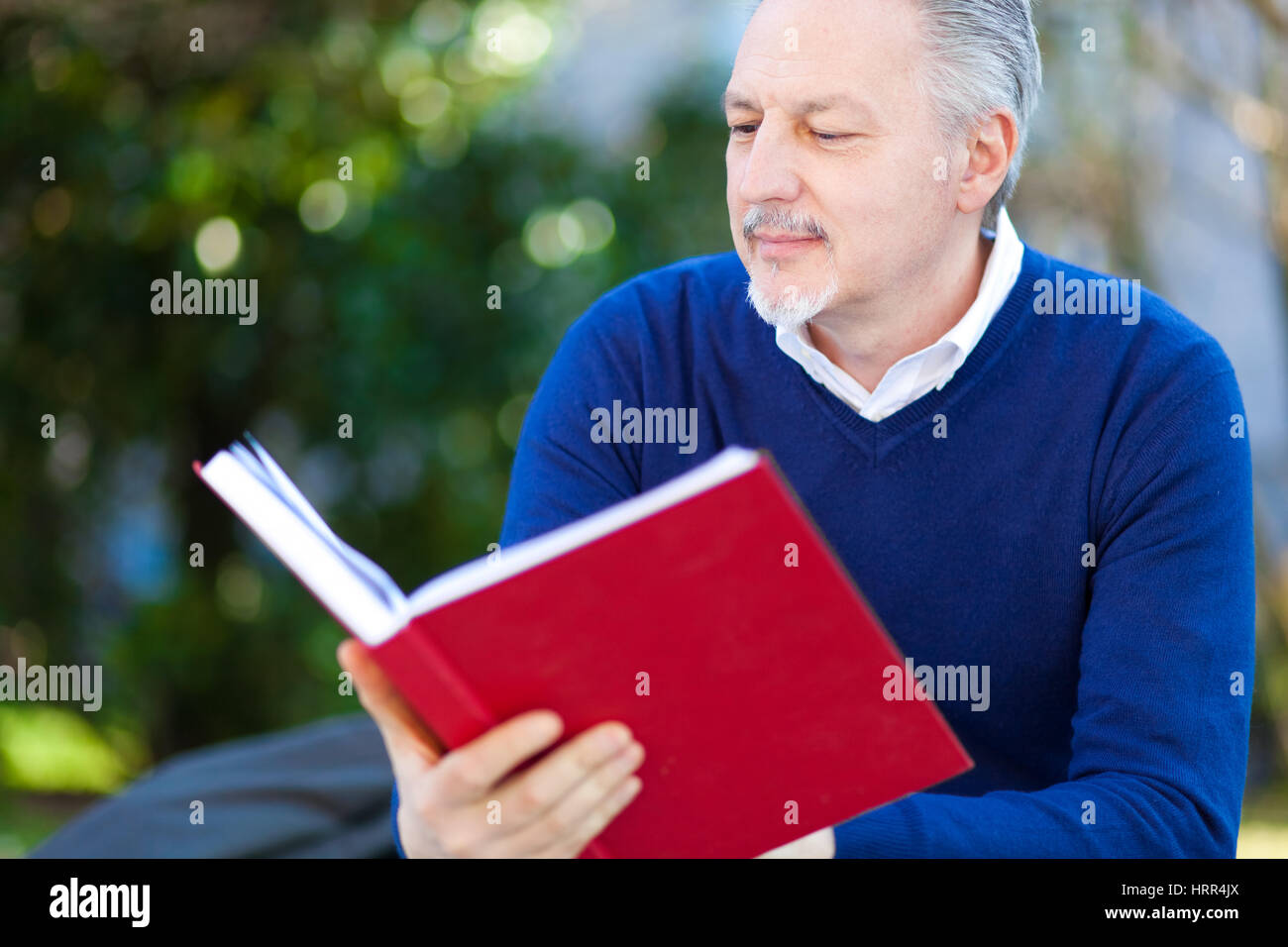 Man reading a book Stock Photo - Alamy