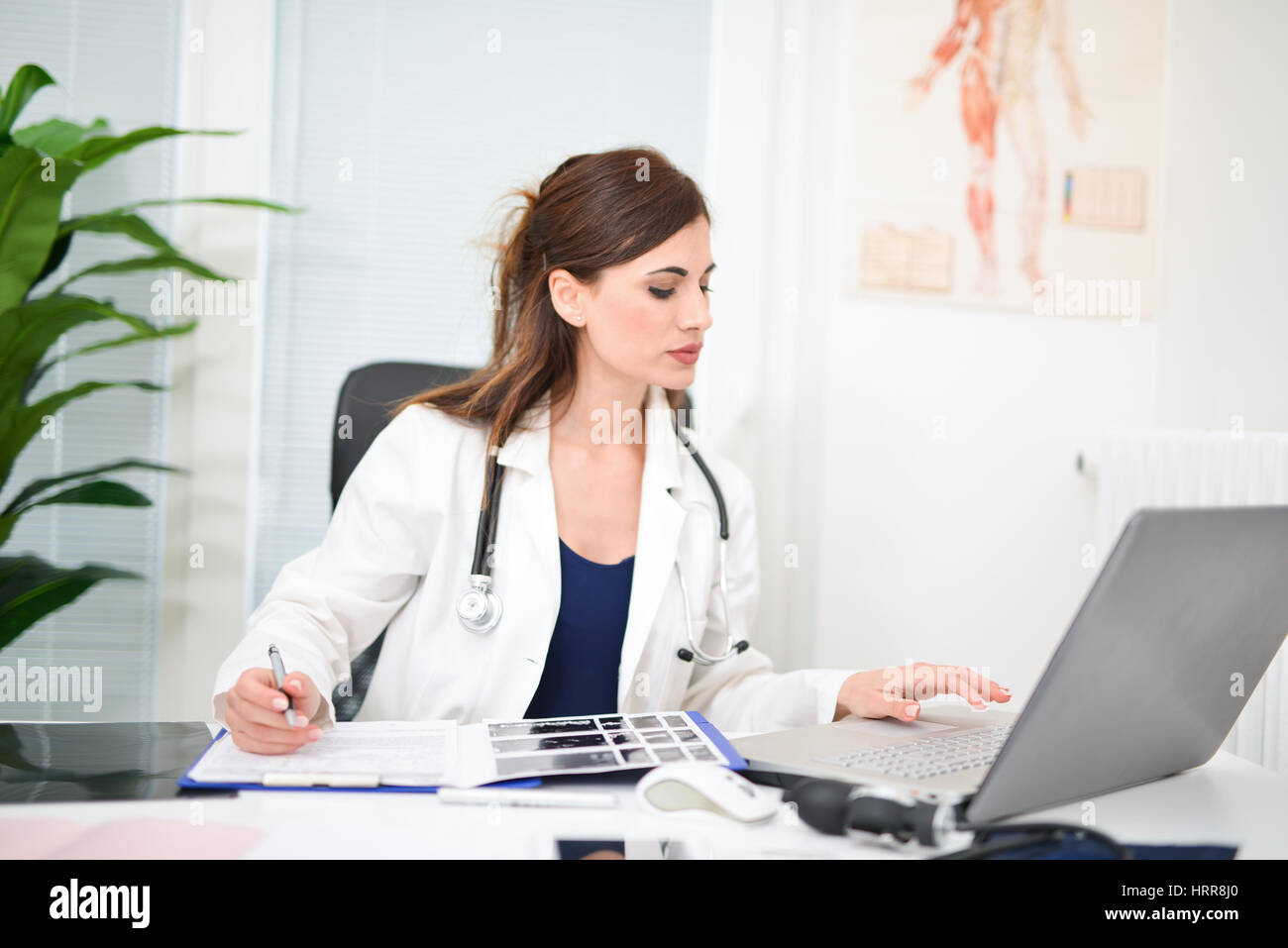 Doctor at work in her office Stock Photo - Alamy
