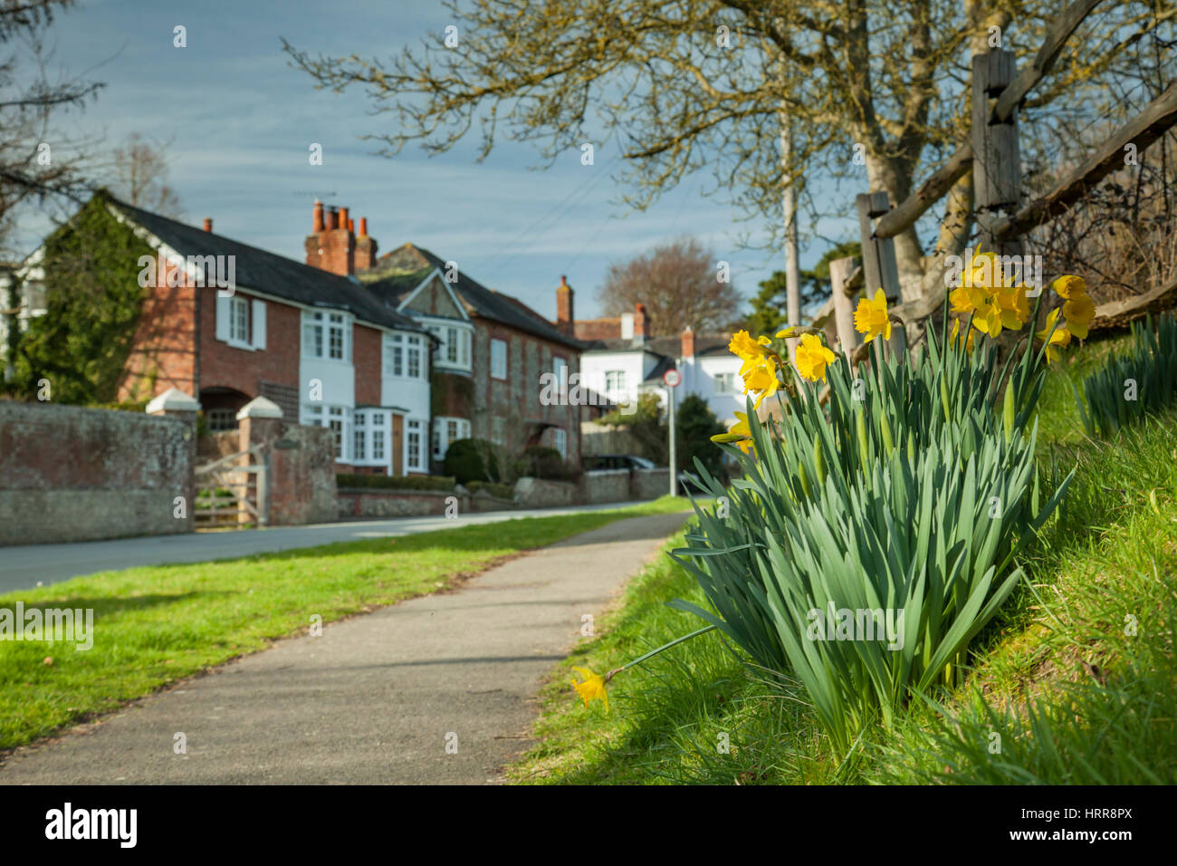 Slindon village hi-res stock photography and images - Alamy