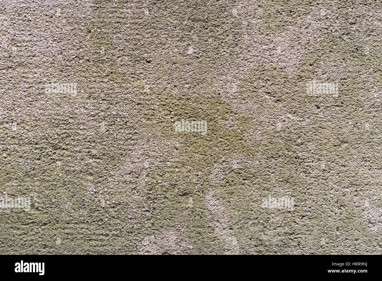 Moldy grungy wall texture background Stock Photo - Alamy