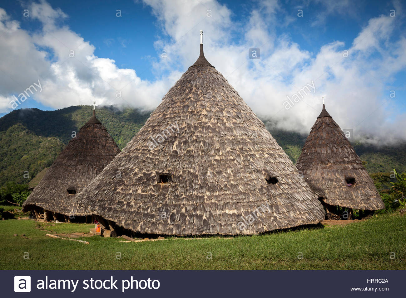 Rebo Stock Photos & Rebo Stock Images - Alamy