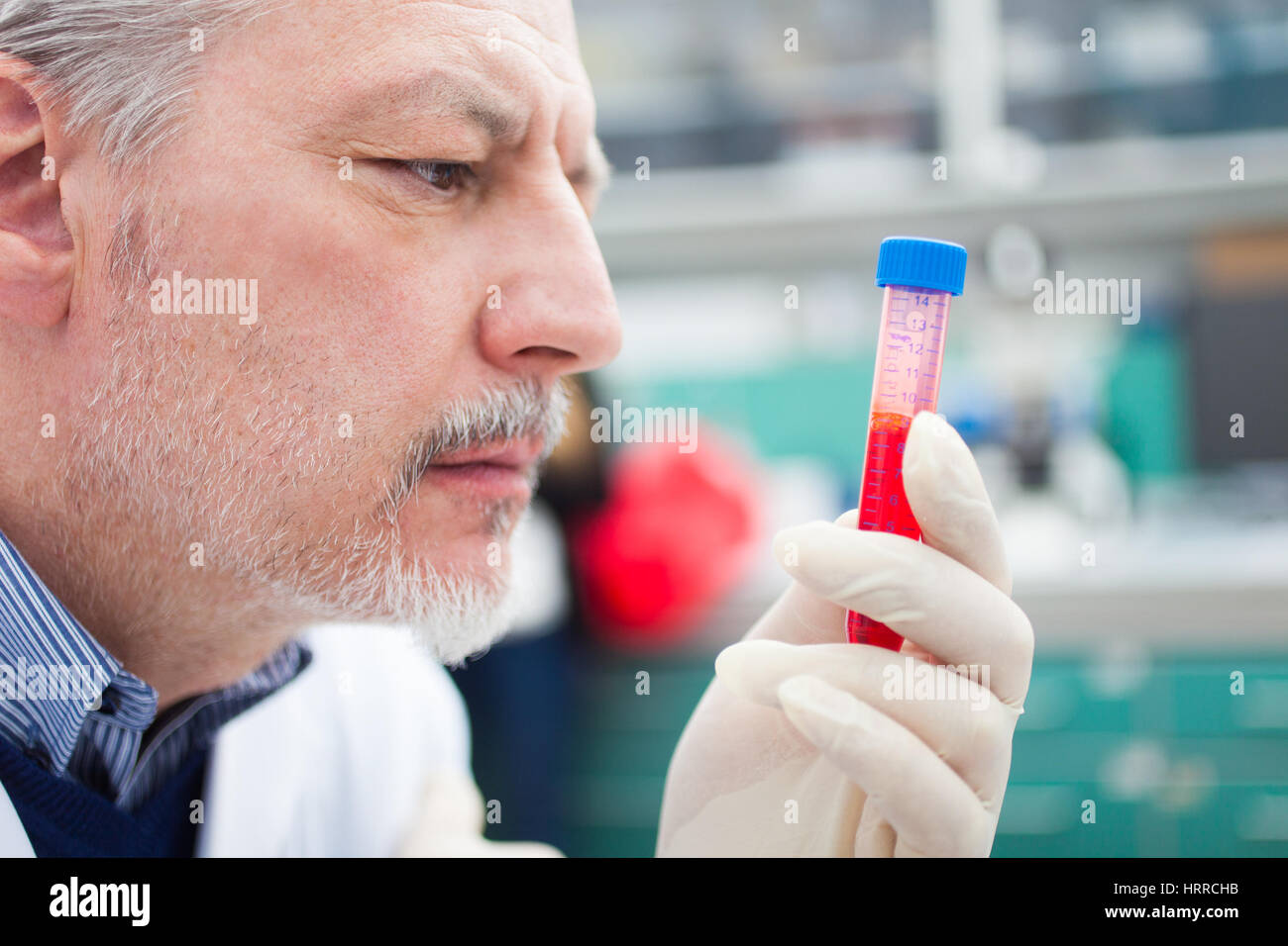 Scientist looking at a test tube in a laboratory Stock Photo - Alamy