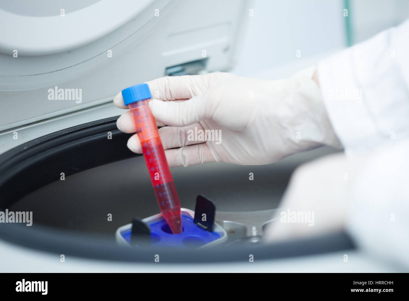 Scientist analyzing blood in a lab Stock Photo - Alamy