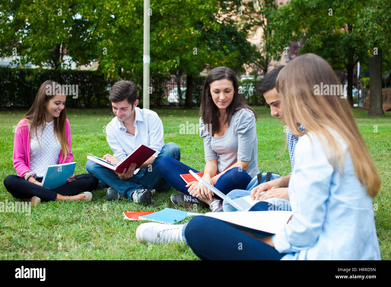 Group of friends studying together in a park Stock Photo - Alamy