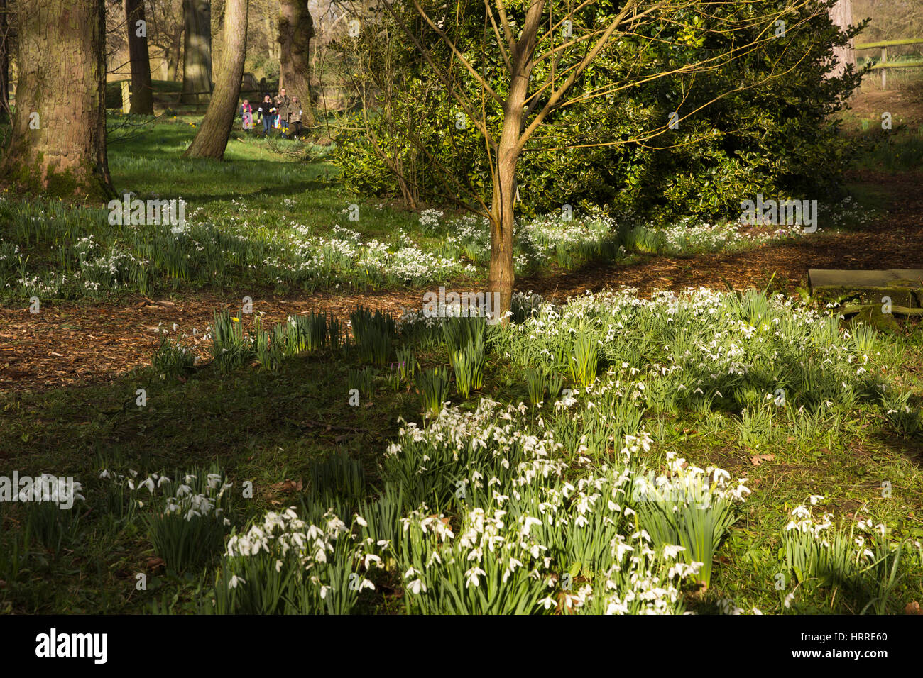 Rode hall cheshire hi-res stock photography and images - Alamy
