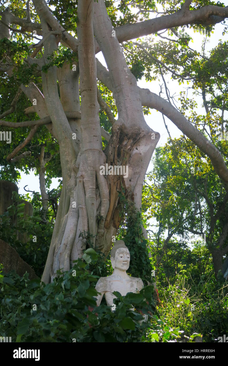 Hidden Statue in the jungle in Thailand Stock Photo - Alamy