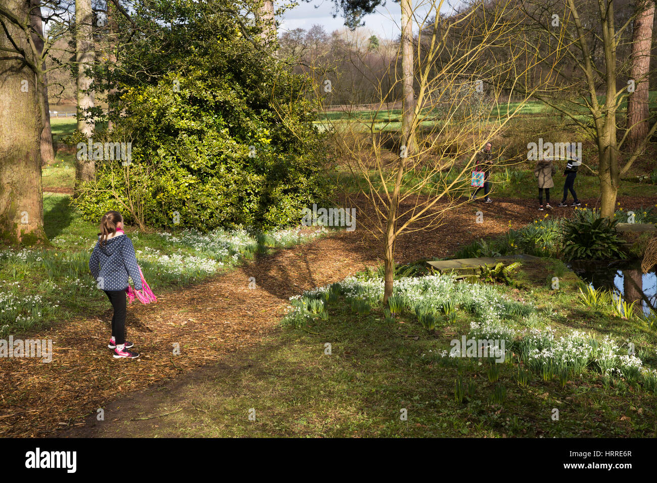 UK, England, Cheshire, Scholar Green, Rode Hall, Gardens, vistors ...