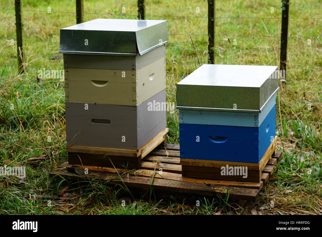 Bee hives new zealand hi-res stock photography and images - Alamy