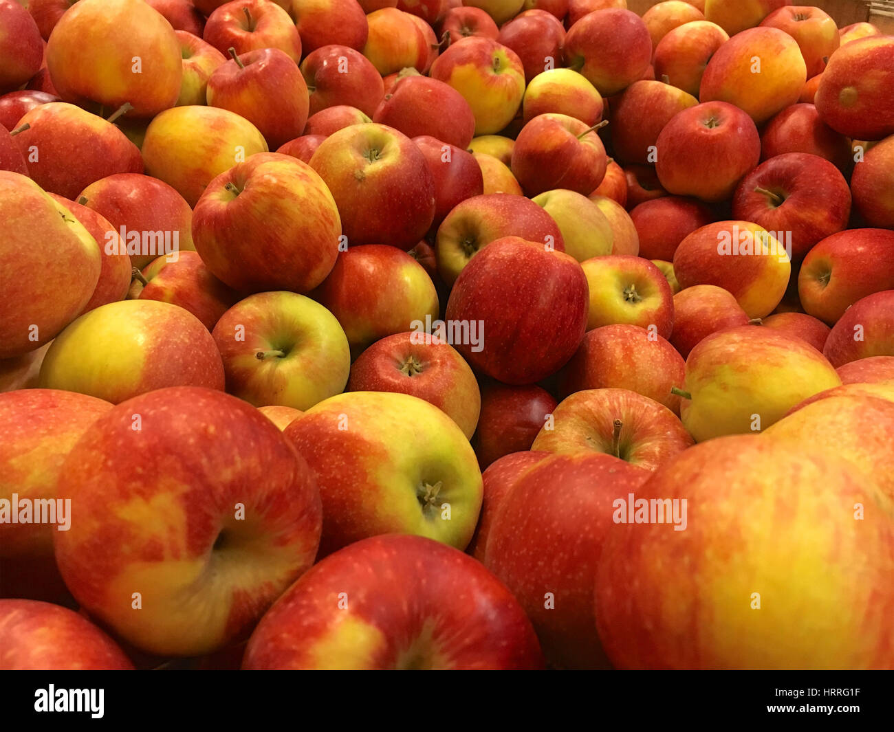 A bunch of red apples Stock Photo - Alamy