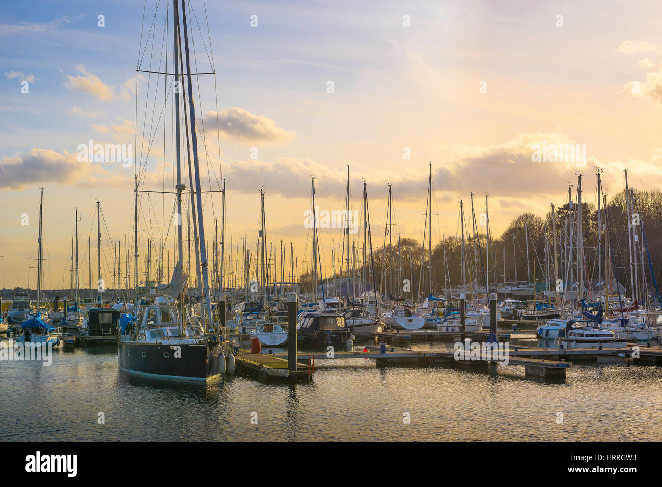 Marina UK, view of the marina at Shotley Gate on the Suffolk coast ...