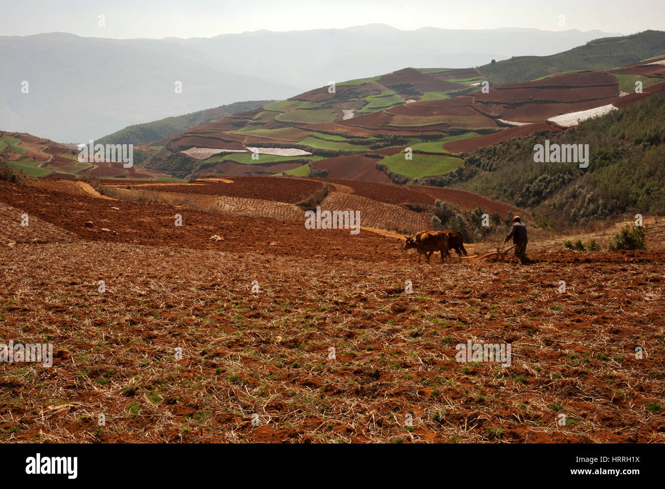 Agriculture ploughing chinese hi-res stock photography and images - Alamy