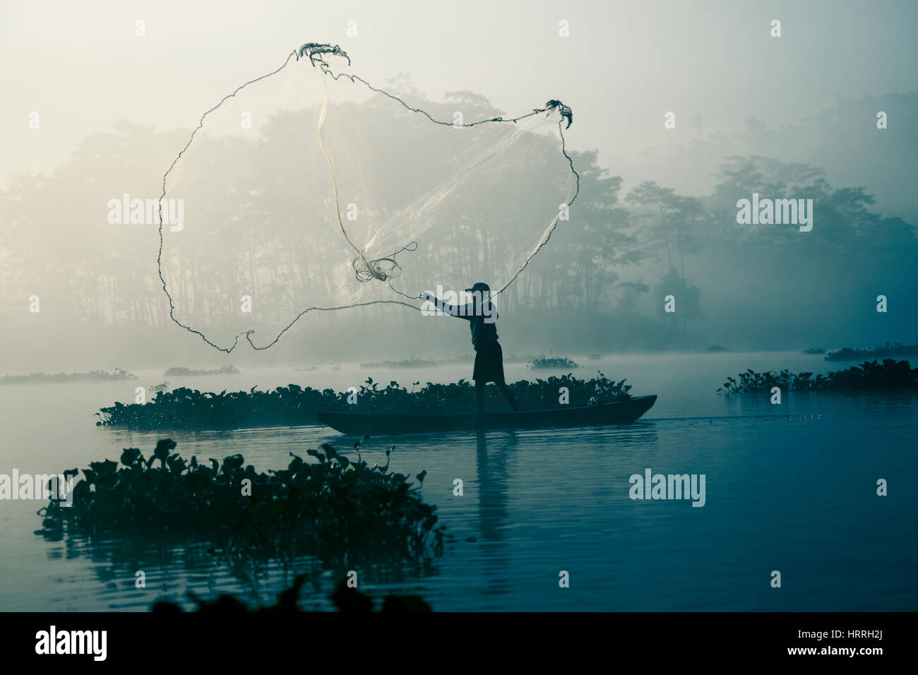 Fisherman casting out his fishing net in the river early in the blue ...