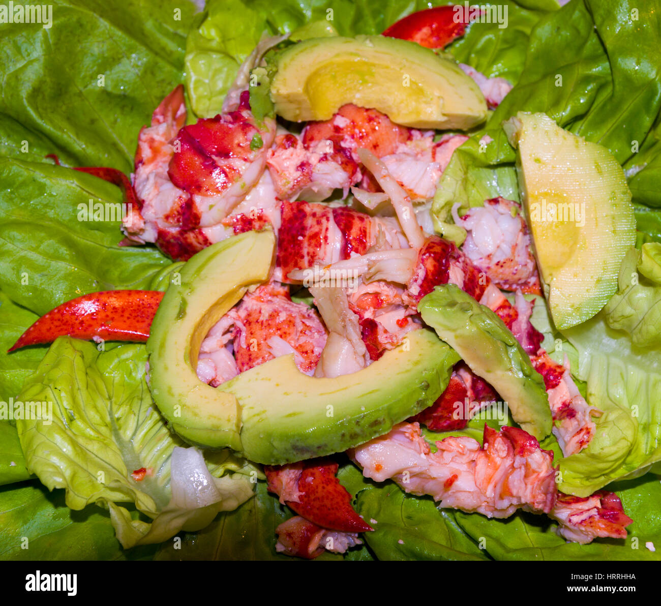 Lobster avocado salad Stock Photo - Alamy