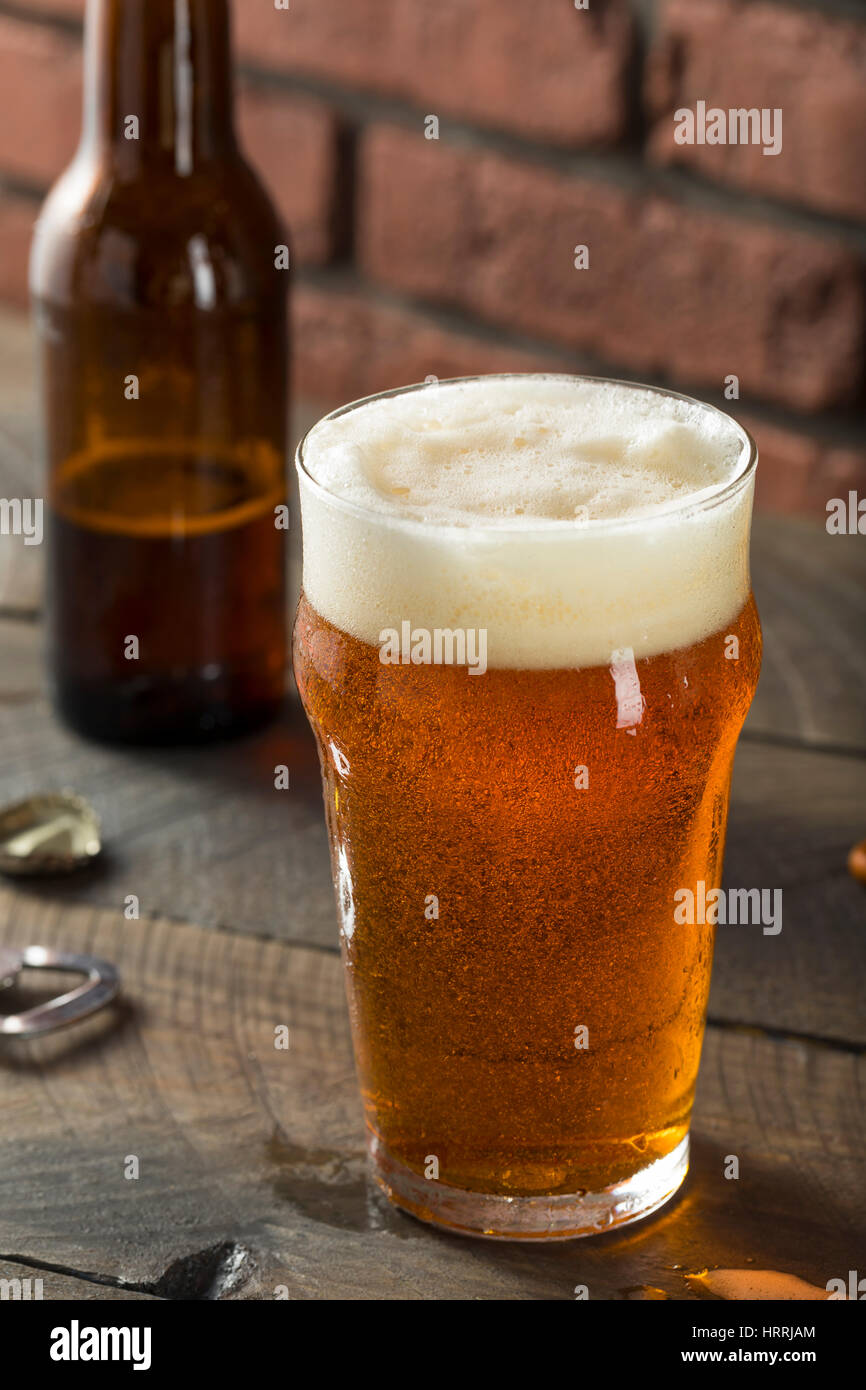 Cold Refreshing American Lager Crafter Beer Ready to Drink Stock Photo ...