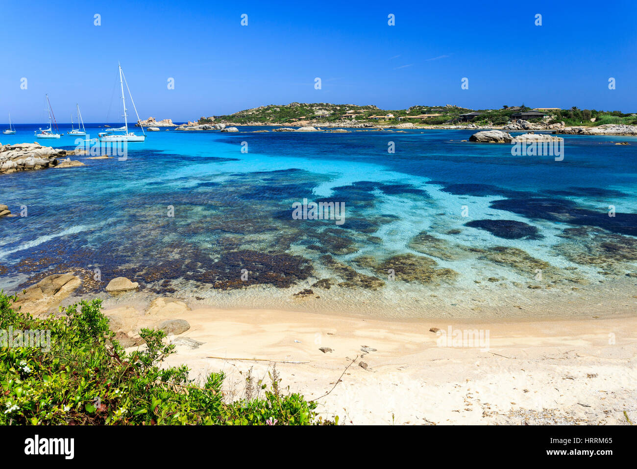 Beautiful bay with moored sailing boats, Cavallo Island, Corsica ...