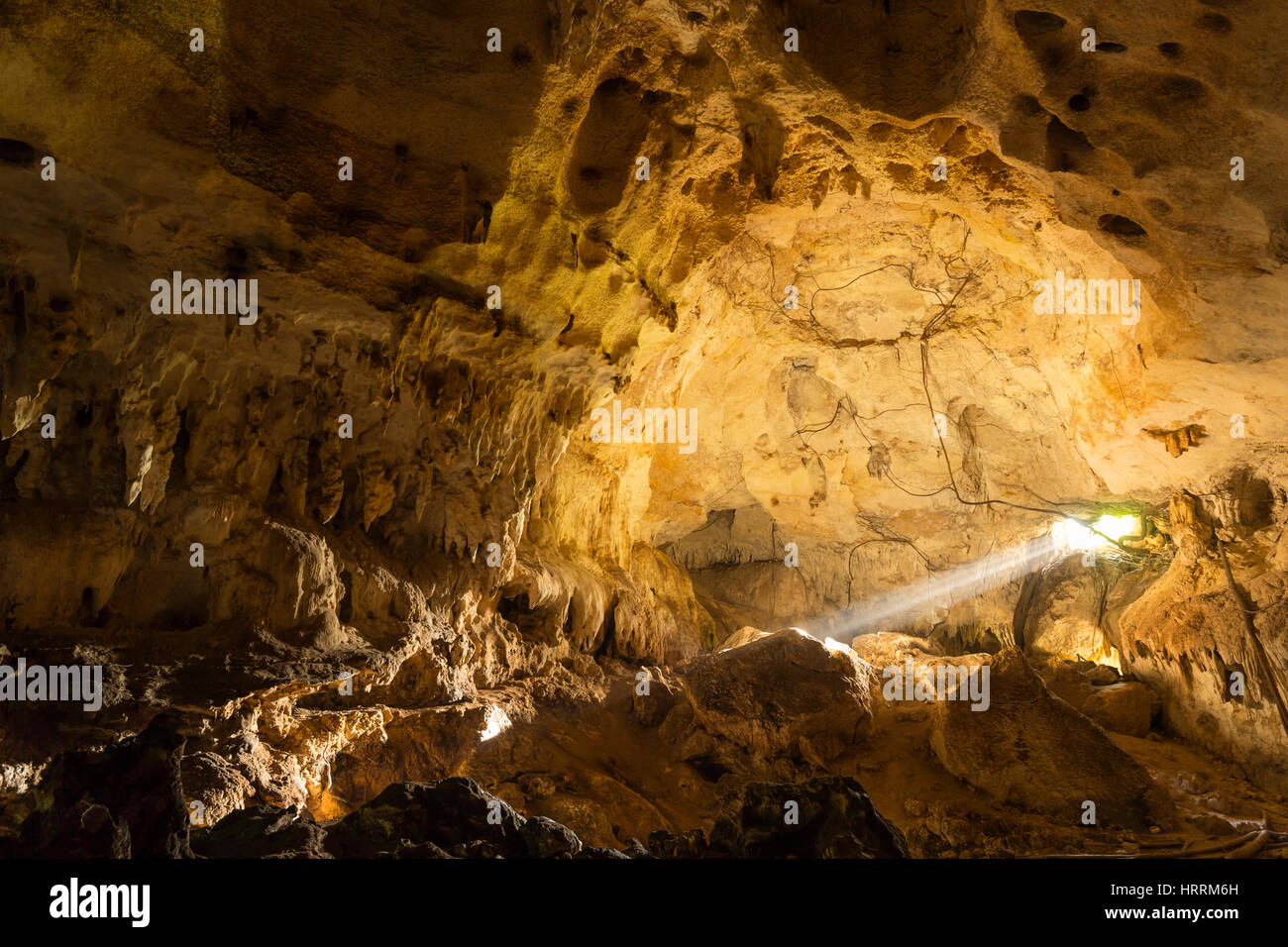 Cavernous limestone hi-res stock photography and images - Alamy
