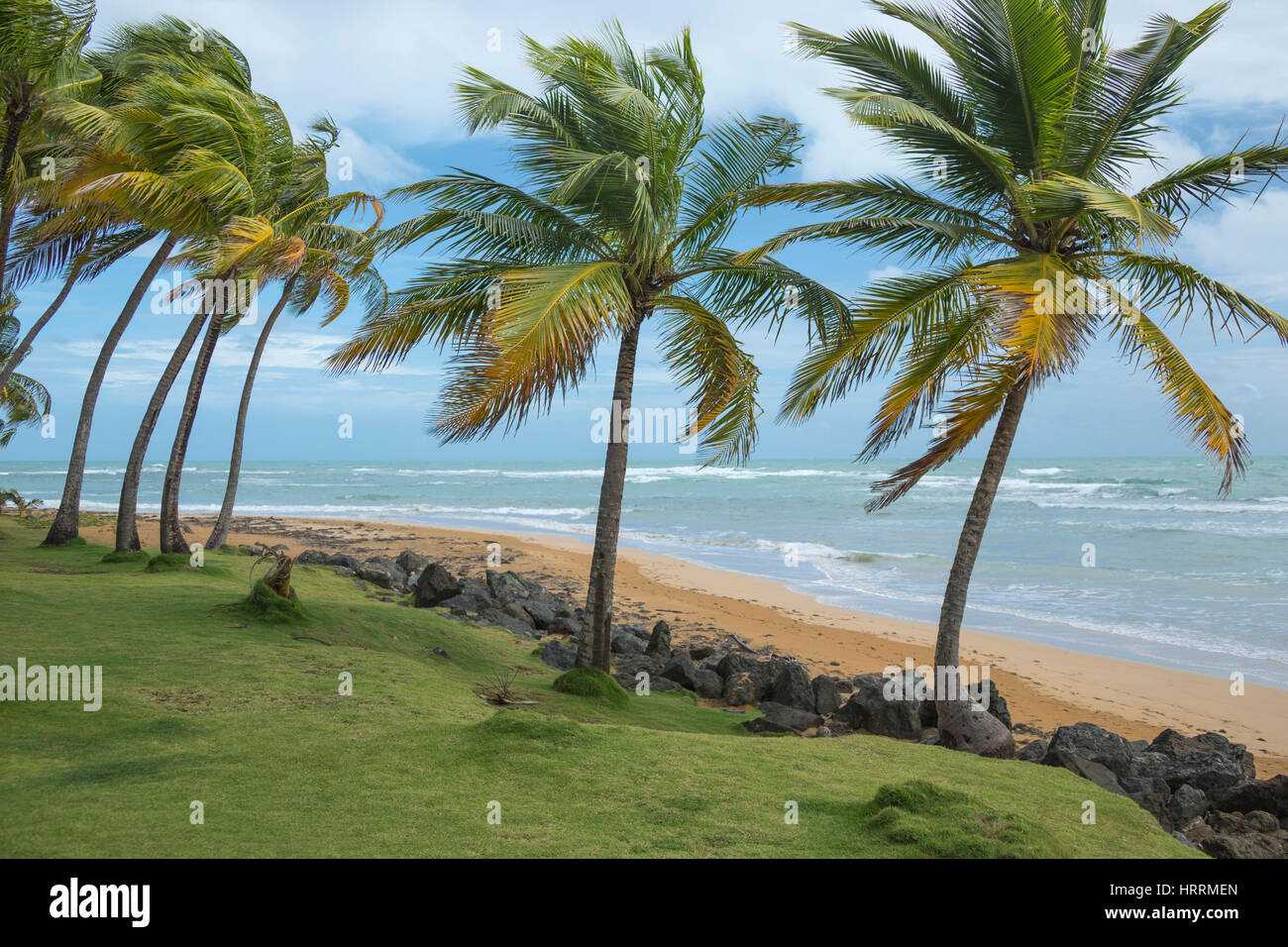 Playa luquillo beach hi-res stock photography and images - Alamy