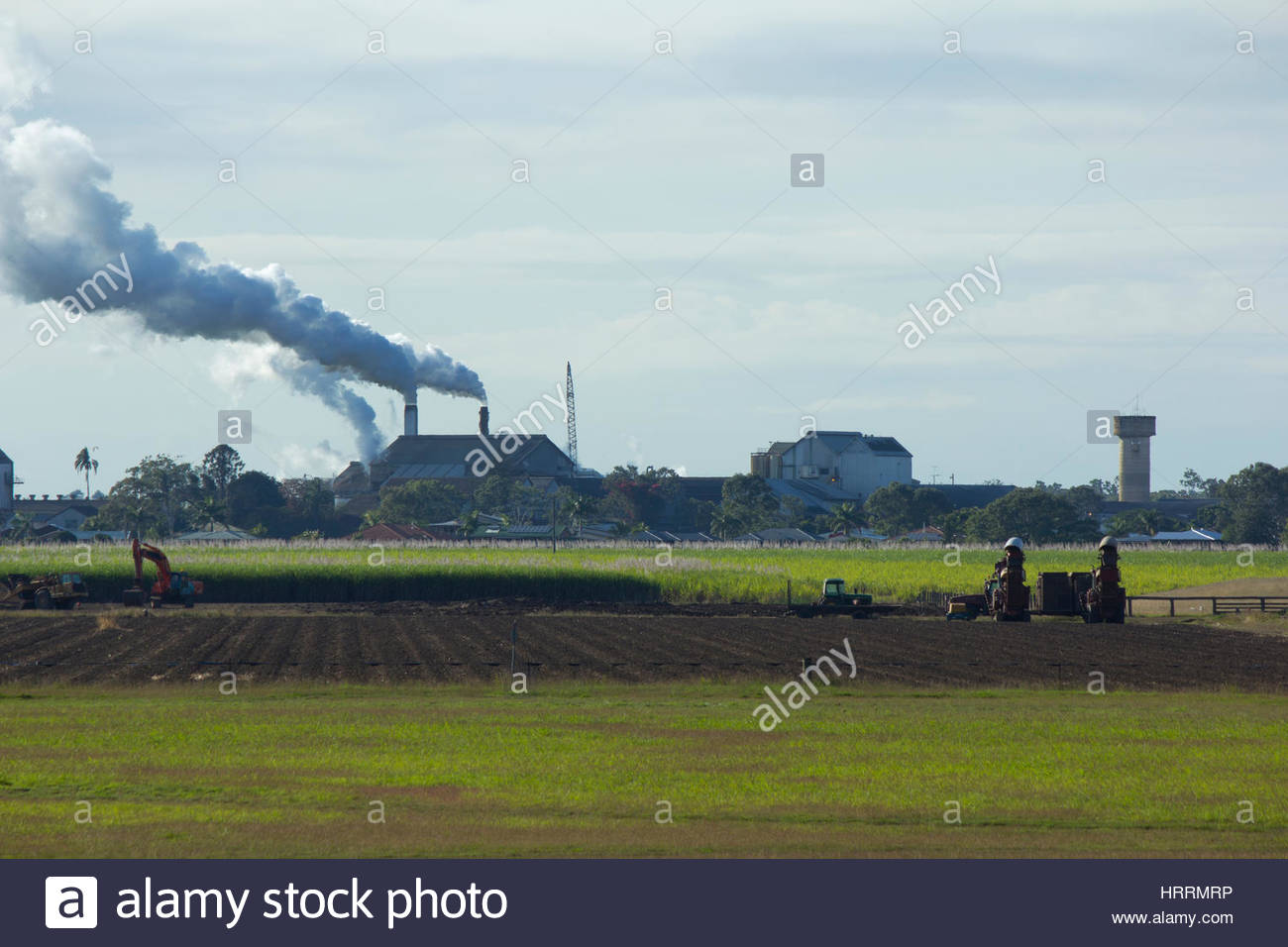 Sugar Cane Milling Stock Photos & Sugar Cane Milling Stock Images - Alamy